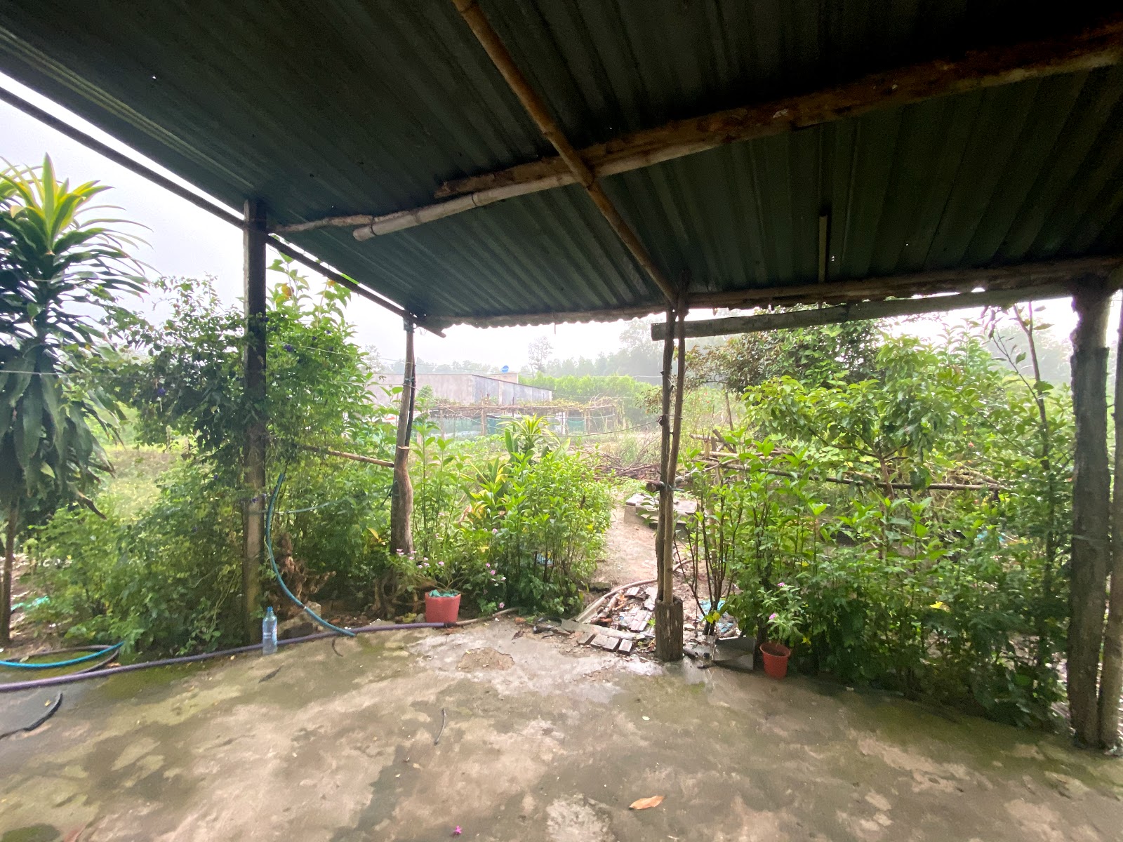 Chùa Bảo Tạng