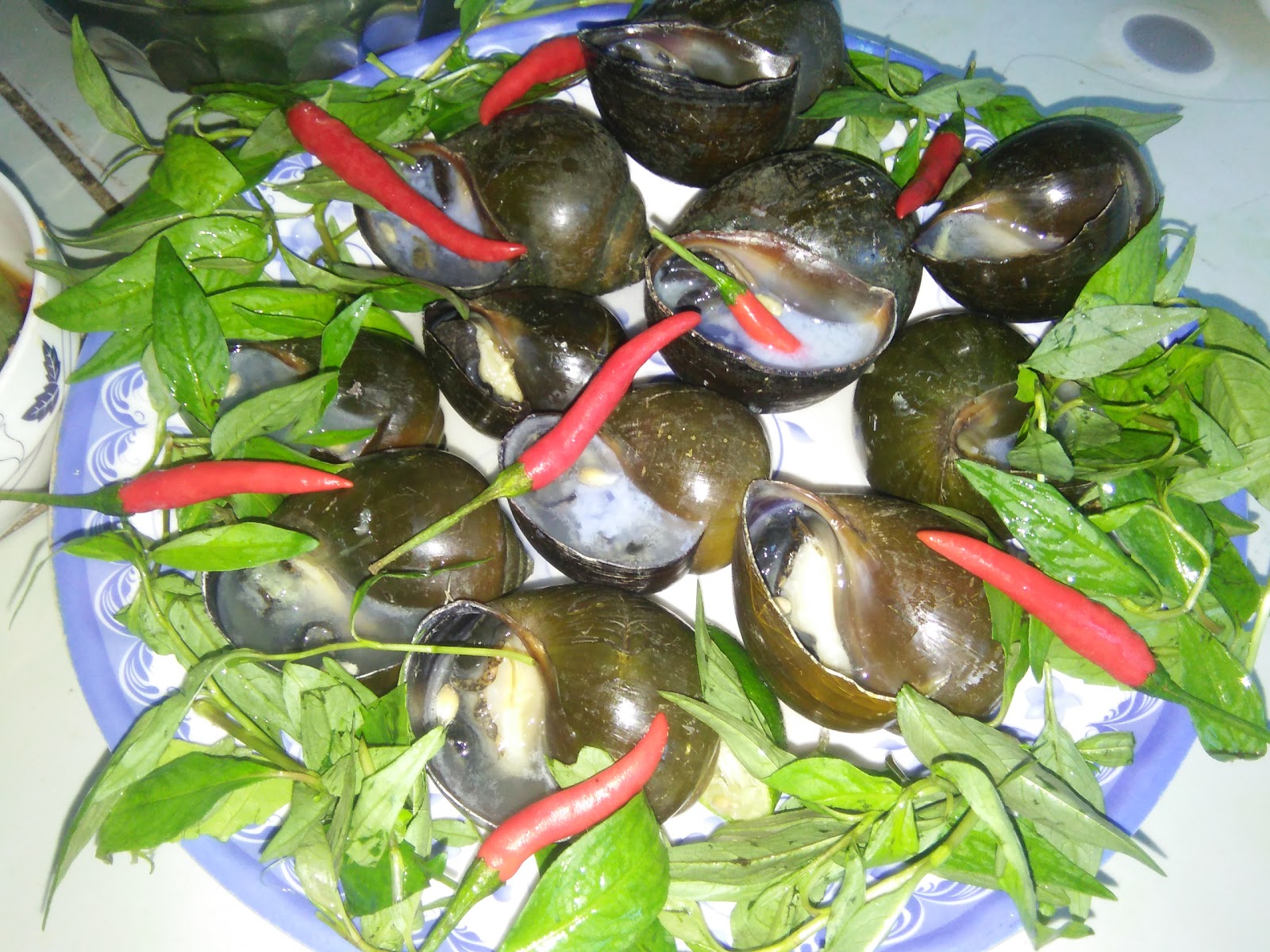 Chùa Phước Quang