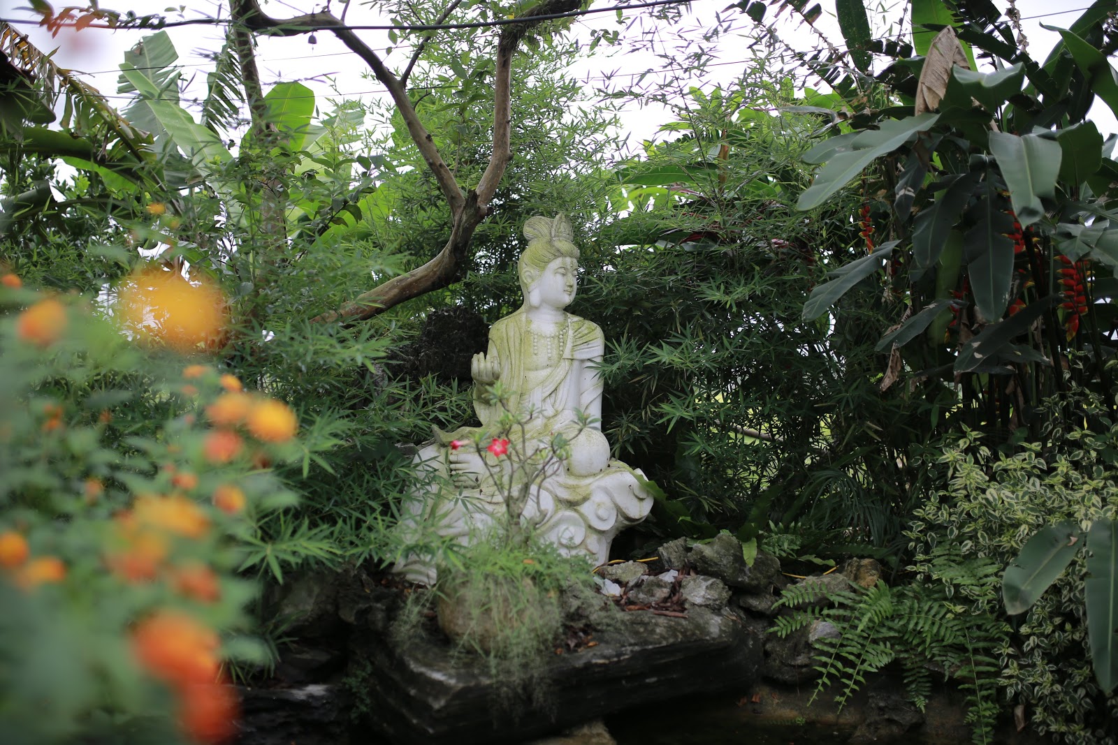 Chùa Anh Linh ( Mộc Tòng )