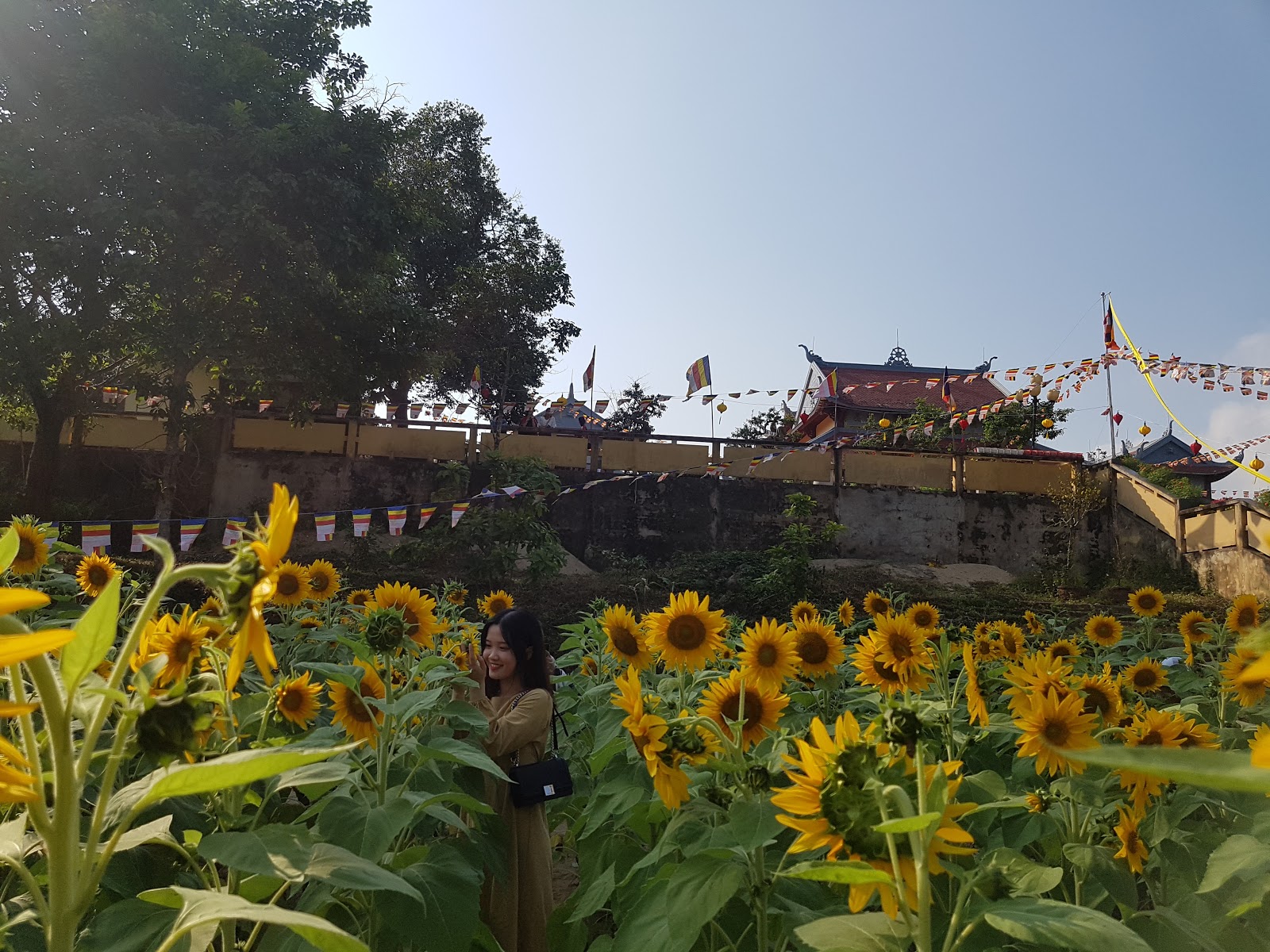Chùa Cổ Lâm